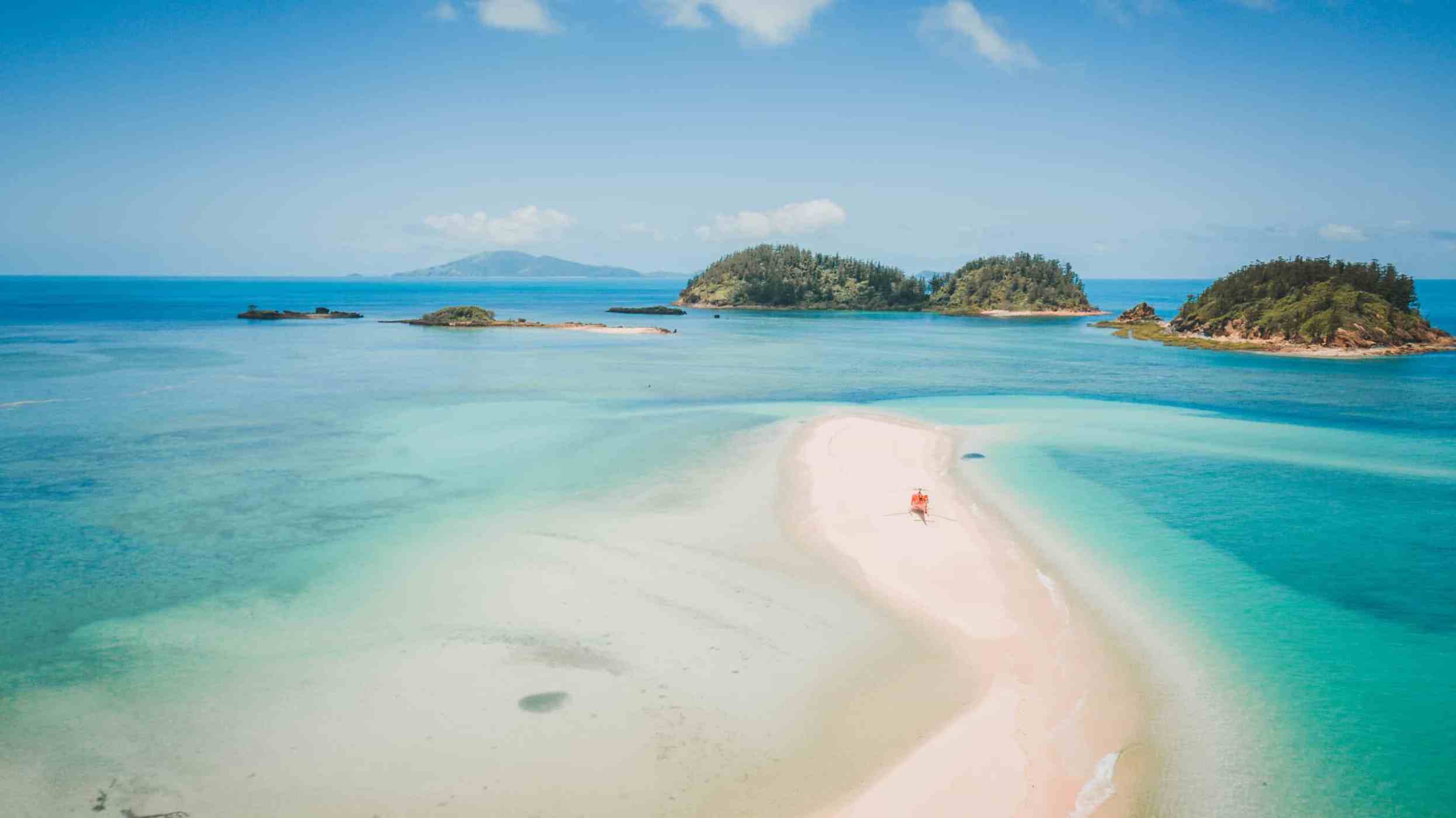 Wildcat Mackay | Red Cat Adventures