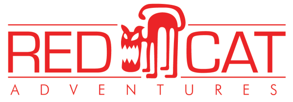 Snorkelling Great Barrier Reef From Airlie Beach | Red Cat Adventures